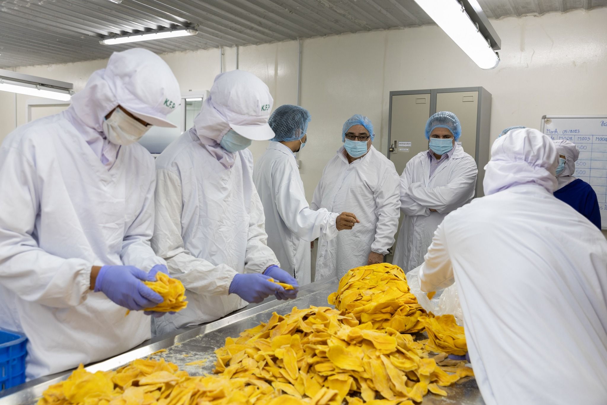 ក្រុមហ៊ុនធំមួយរបស់អូស្ត្រាលី គ្រោងនឹងវិនិយោគនាំចេញផ្លែឈើ ...