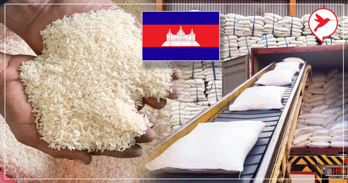 មិនធម្មតា! ក្នុងរយៈពេល ១១ ខែឆ្នាំ ២០២៣ កម្ពុជាបាននាំចេញអង្ករបានចំណូលជាង ...