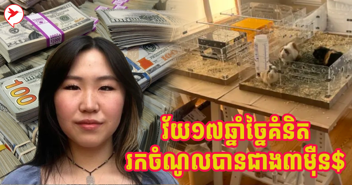 ទើបតែវ័យ១៧ឆ្នាំ យុវតីម្នាក់នេះយកប្រាក់សន្សំ២ពាន់$ រកស៊ីលើAmazon រកចំណូលបានជាង៣ម៉ឺន$ក្នុង១ខែ