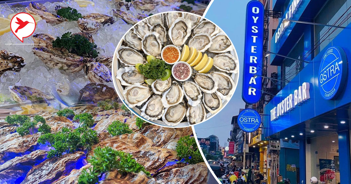 ផ្តើមពីអ្នកលក់រាយ យីហោ OSTRA ...