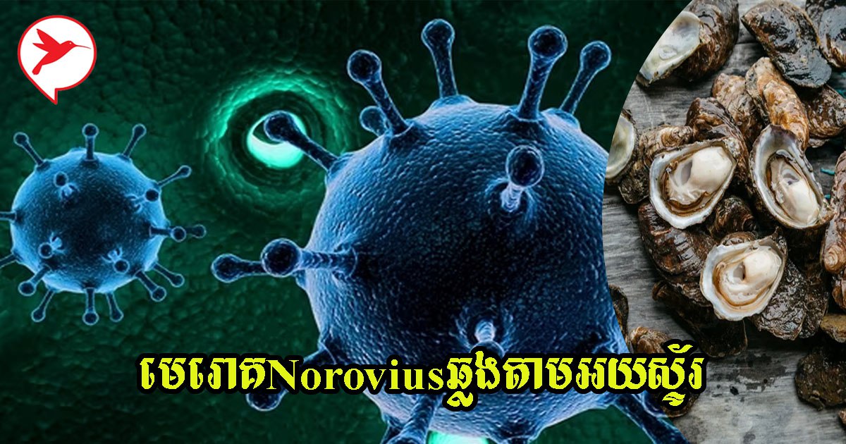 អាមេរិកប្រកាសឲ្យប្រជាជនរបស់ខ្លួនឈប់បរិភោគអយស្ទ័រ ...