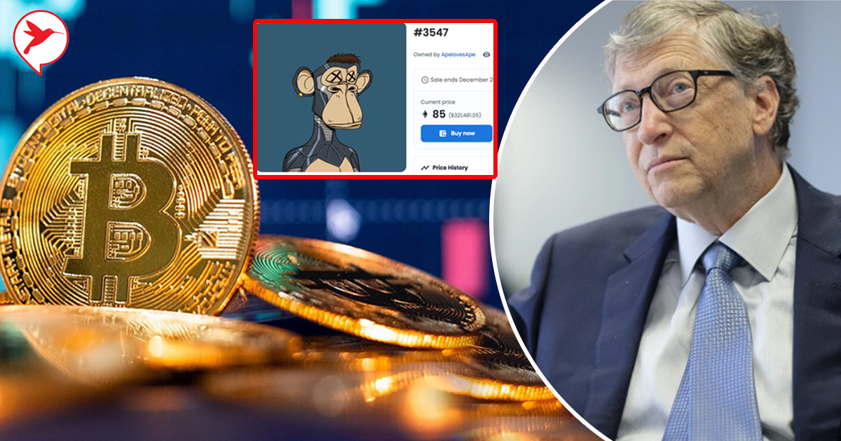 Bill Gates លើកឡើងថា ការវិនិយោគលើគ្រីបតូនិងតុក្កតាស្វា NFT ...